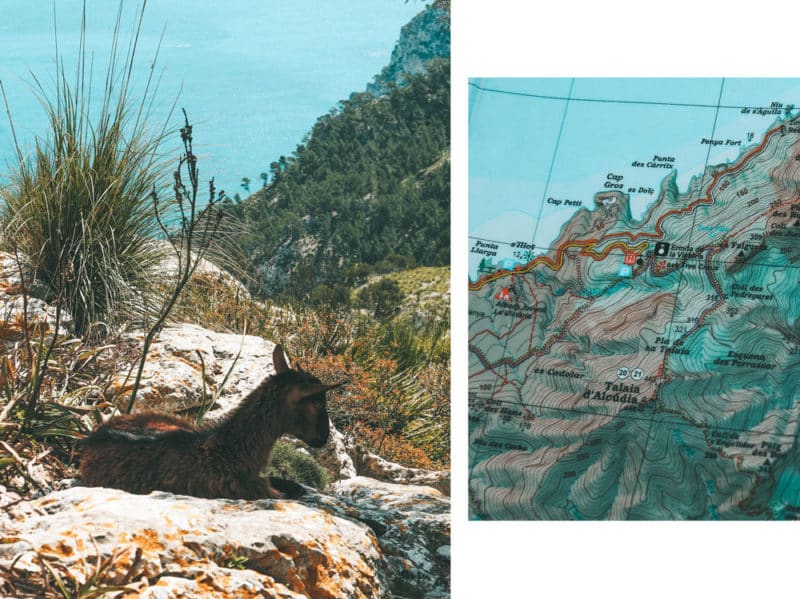 Les plus belles randonnées à Majorque, île des Baléares • Le blog Cash ...