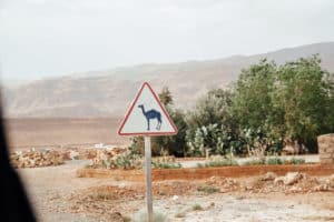 Préparer son voyage au Maroc : meilleurs conseils pratiques • blog voyage