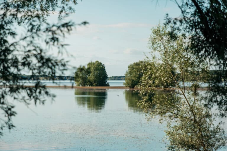Que faire aux alentours de Troyes : visiter l'Aube • blog voyage